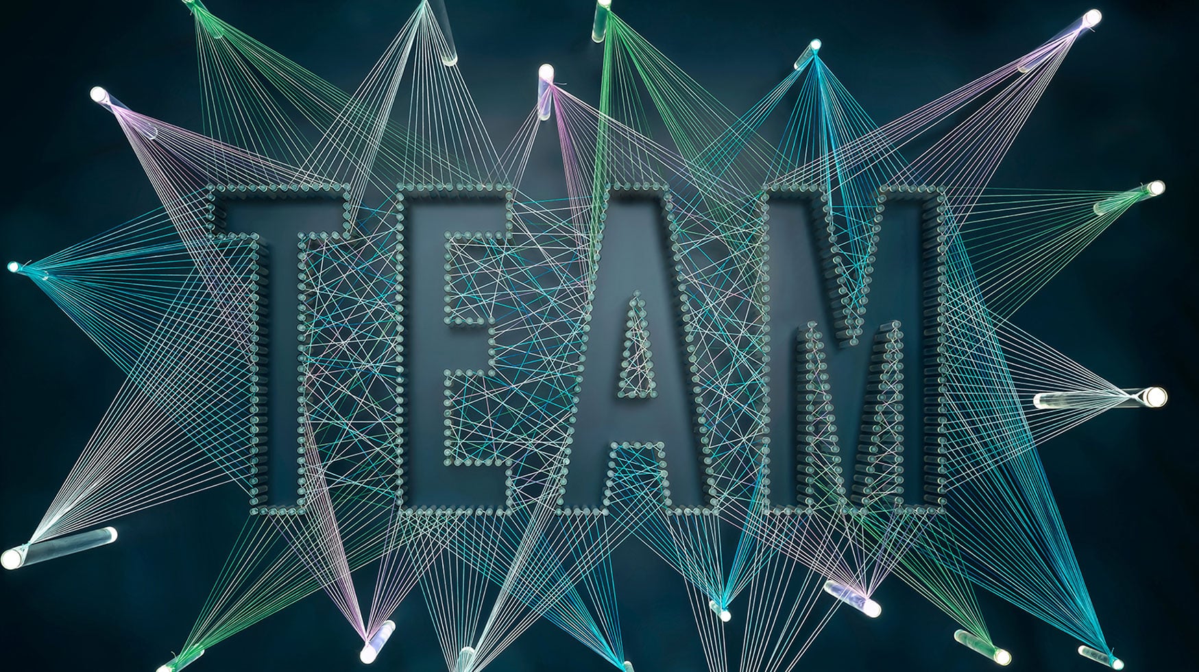 Our Values | What We Believe In | Xero AU