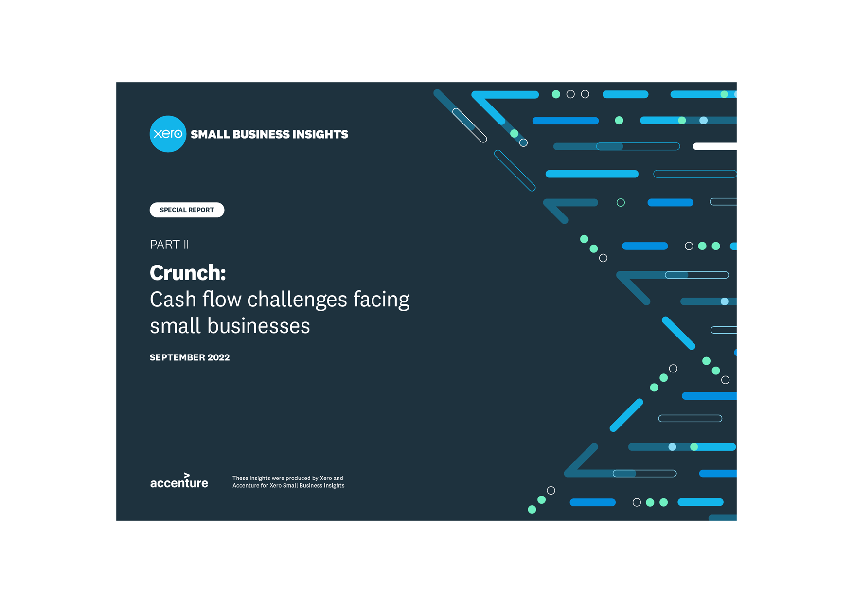 Xero Small Business Insights Special Reports Xero NZ Xero Small Business Insights Special Reports Xero NZ